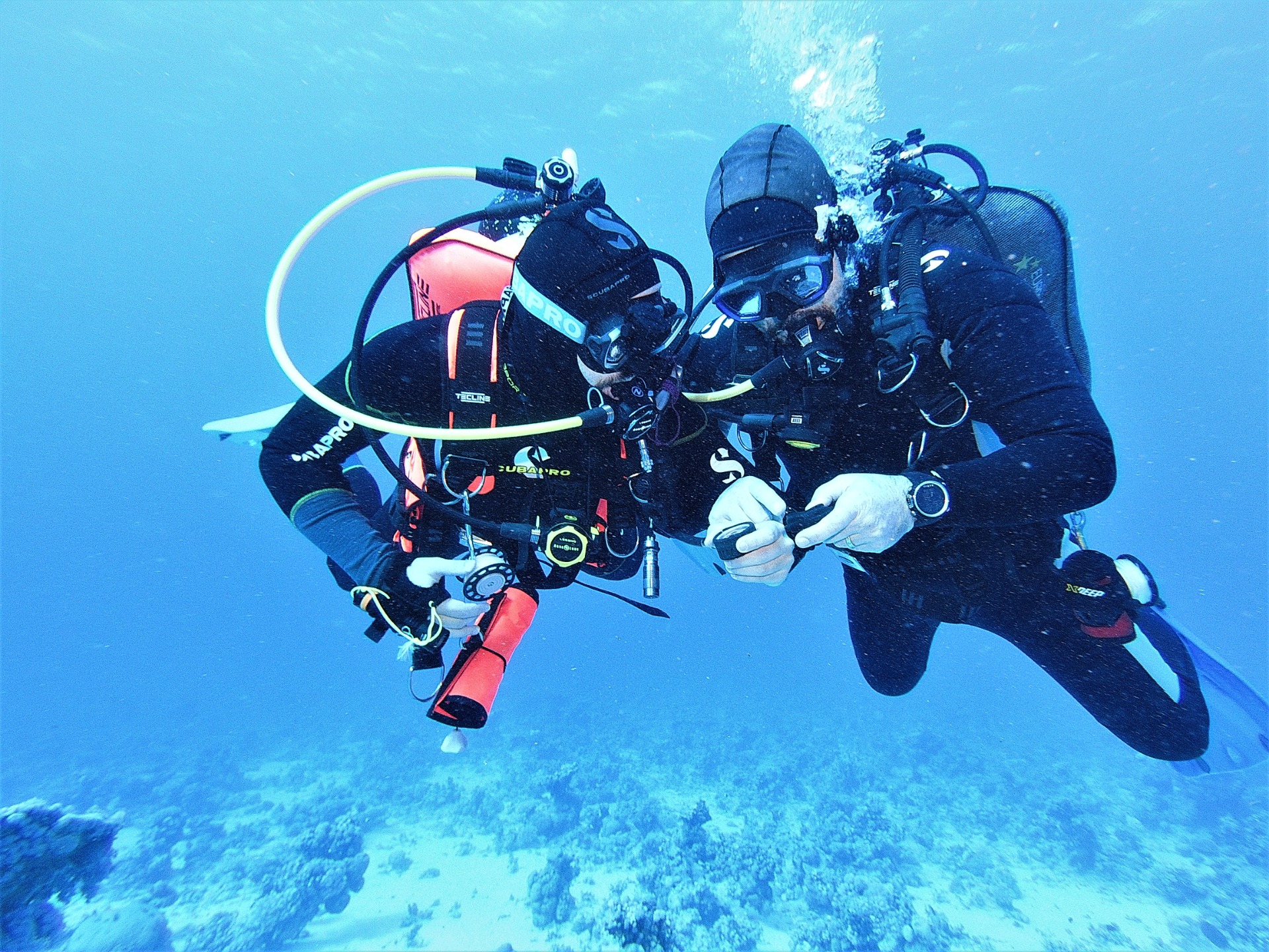 EUROPEAN DIVING SCHOOL